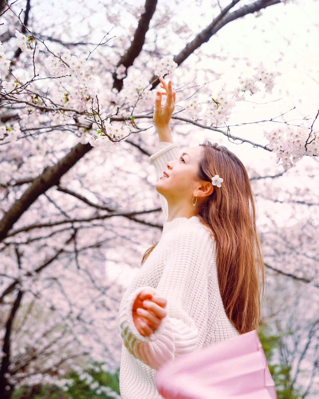 Spring in The Heart of Tokyo: Top Recommended Cherry Blossom Viewing ...